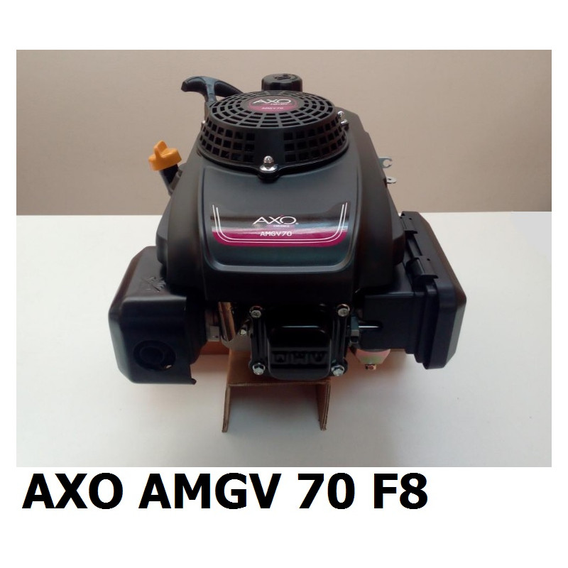 Motore AXO AMGV70-F8