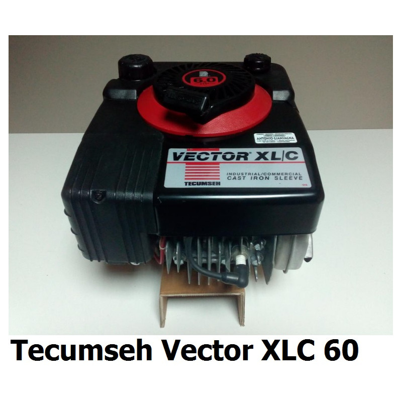 Motore Tecumseh XLC 60