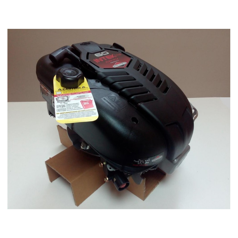 Motore Briggs & Stratton Intek 60