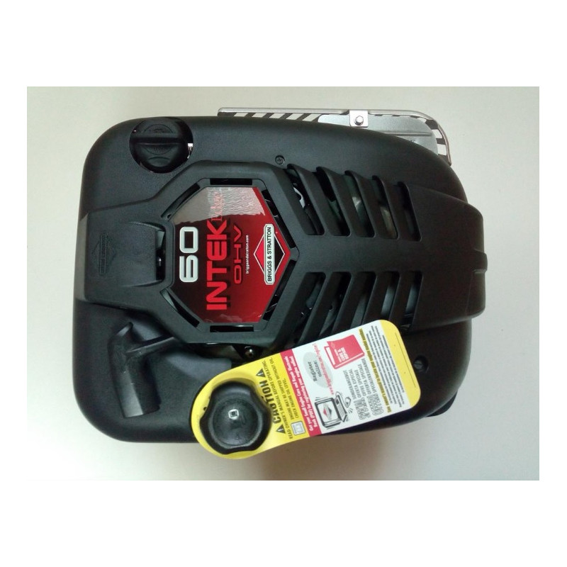 Motore Briggs & Stratton Intek 60