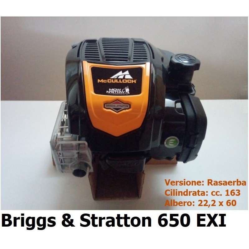 Motore Briggs & Stratton 650 EXI Series
